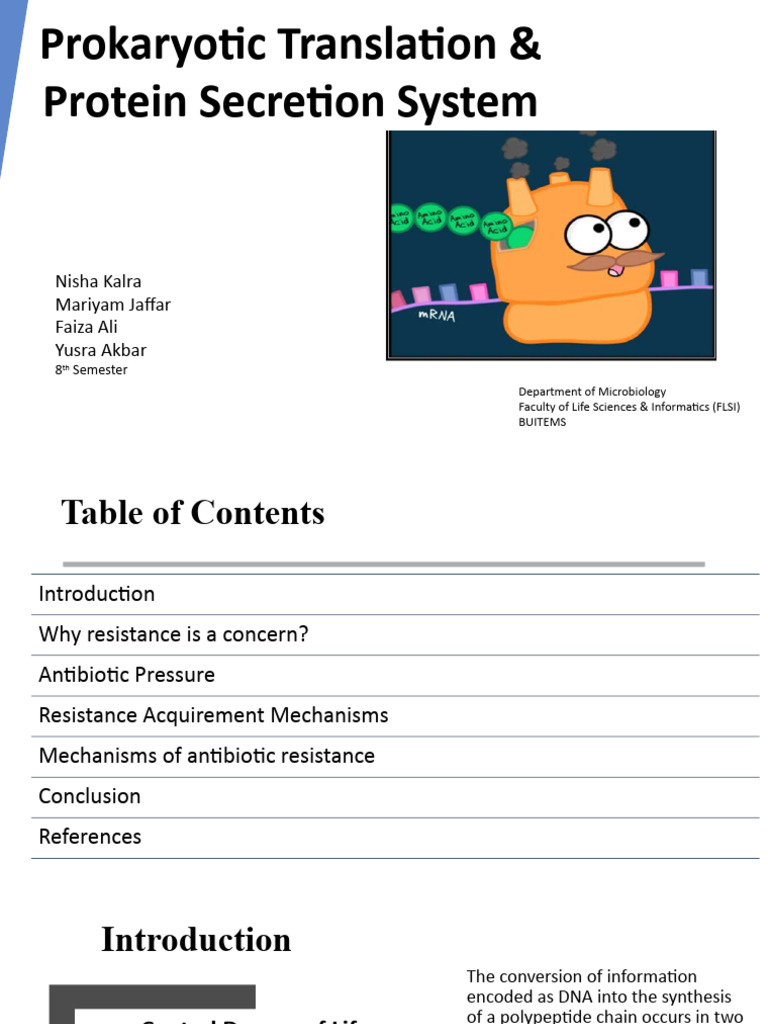 Bacterial Genetics Presentation | PDF | Genetic Code | Translation ...