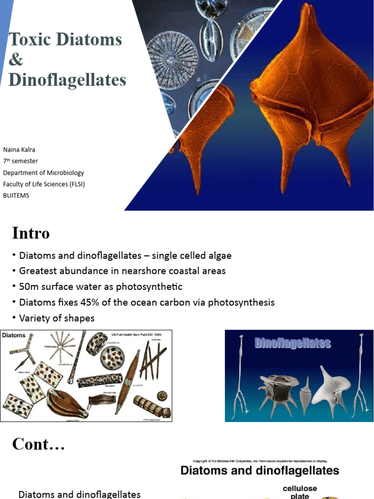 Toxic Diatoms & Dinoflagellates | PDF | Aquatic Ecology | Environmental ...