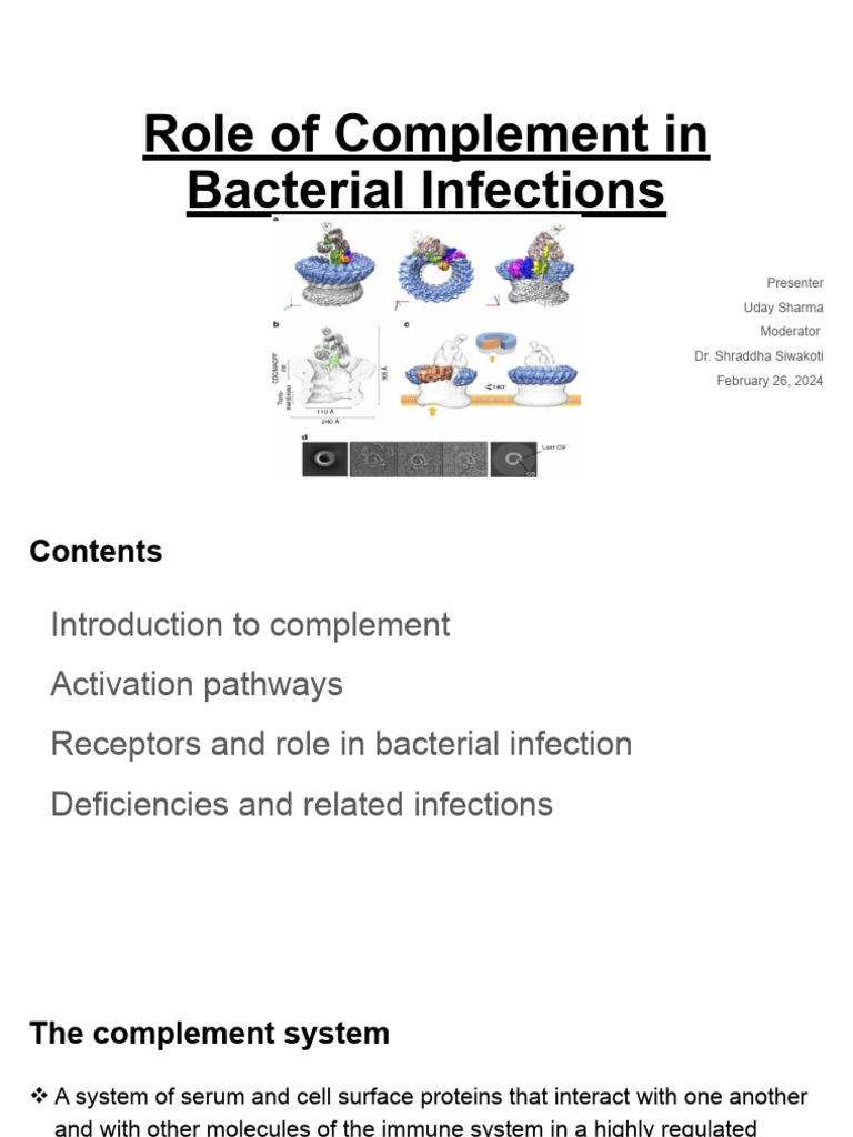 Role of Complement System in Bacterial Infection | PDF | Complement System | Immune System
