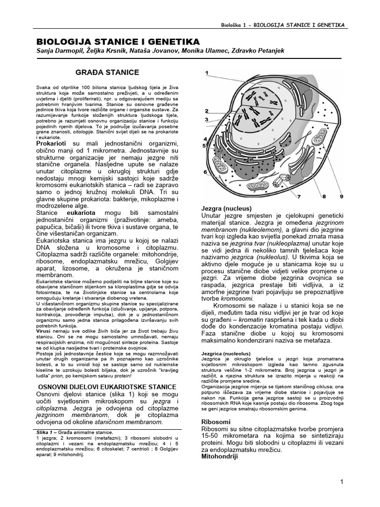 Genetika Skripta Pdf