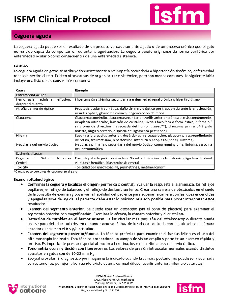 Protocolo 5 | PDF | Glaucoma | Córnea