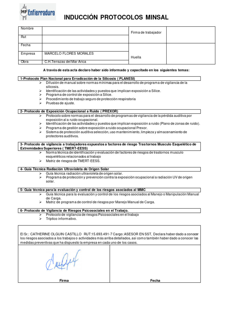 Inducción Protocolos Minsal | PDF | ruido