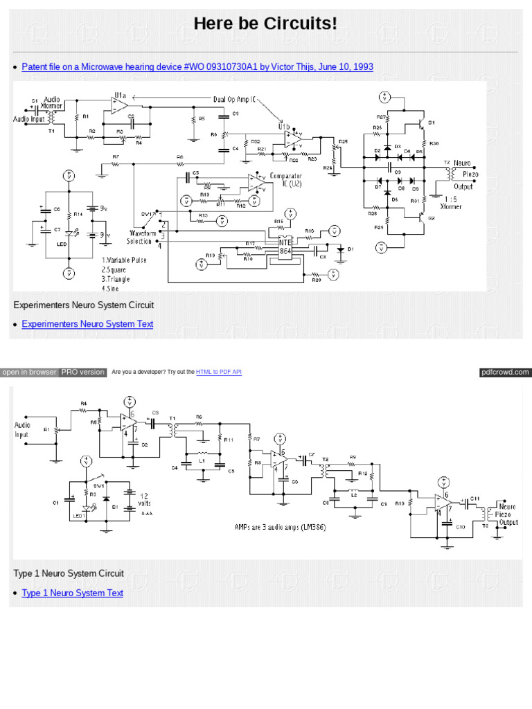 Neuro-circuits | PDF