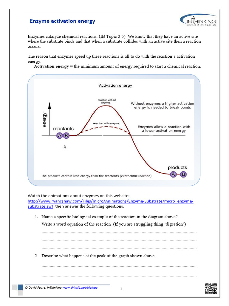 Enzyme Activation Energy | PDF | Enzyme Inhibitor | Active Site