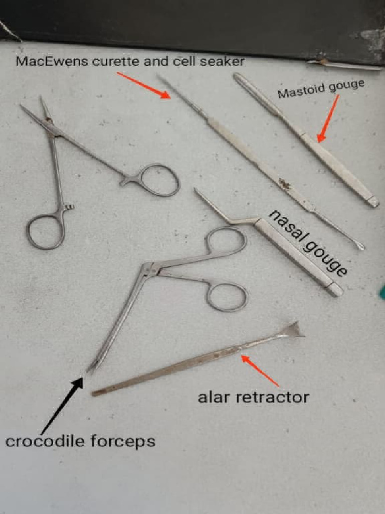 Ent Instruments | PDF
