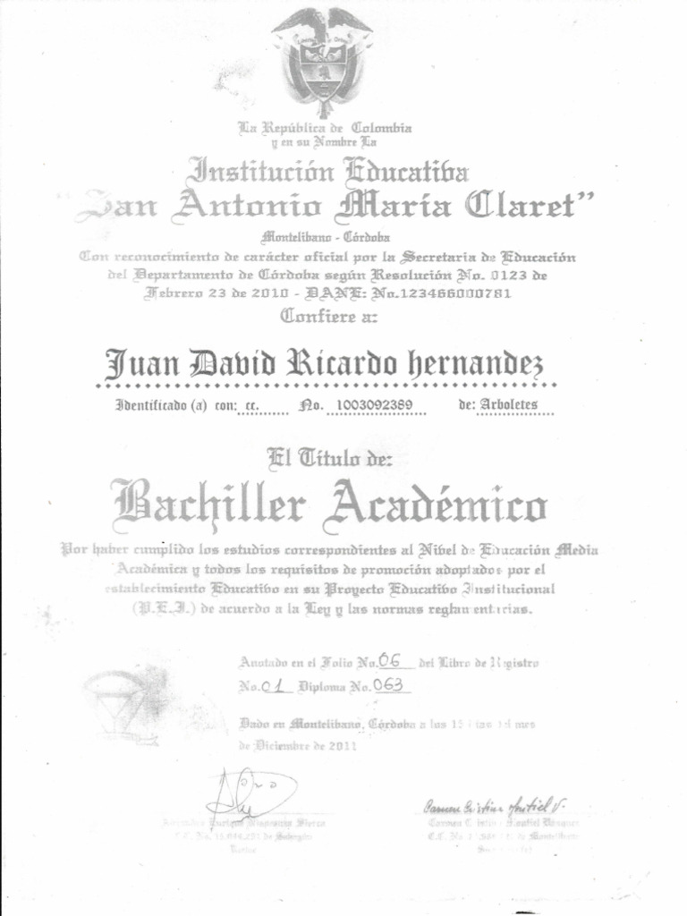 Diploma Juan David | PDF