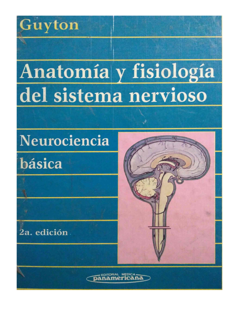 Tronco Encefálico Cap 3 | PDF