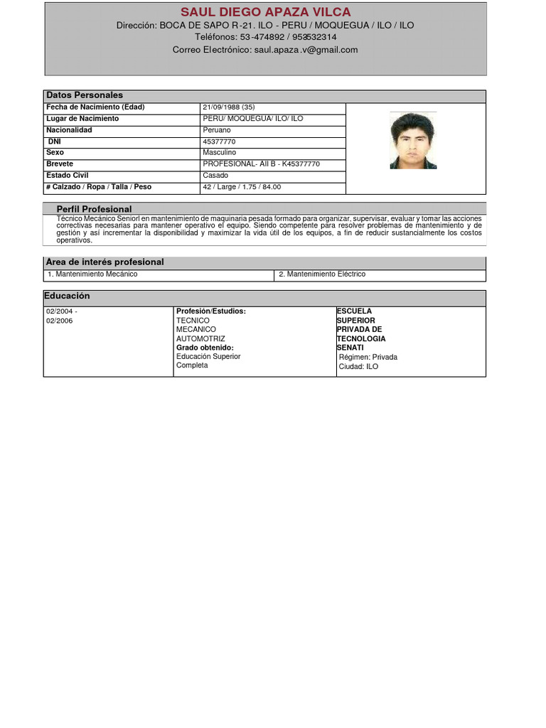 CV - Saúl Diego - Apaza Vilca | PDF | Camión | Máquina elevadora