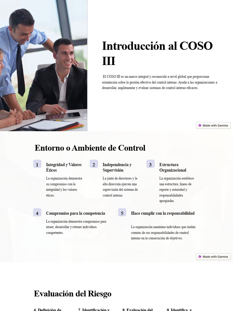 Introduccion Al COSO III | PDF | Evaluación