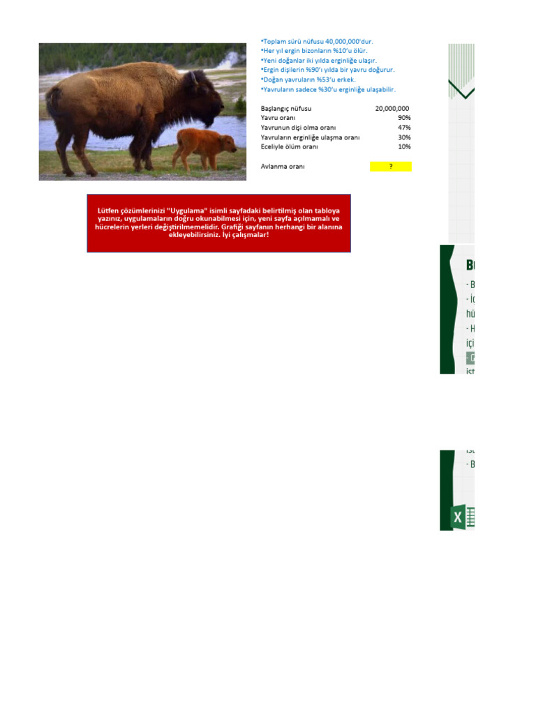 Buffalo Ogrenci 2022 | PDF