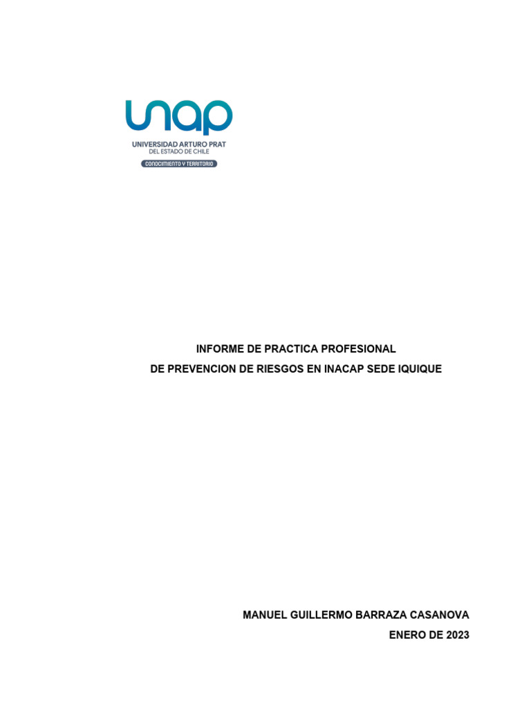 Informe de Practica Profesional | PDF