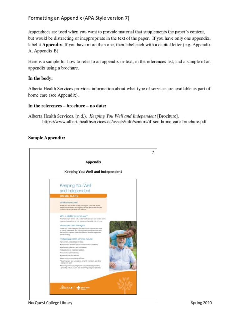 APA Appendix Formatting Guide | PDF