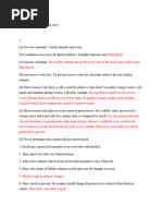 ERHA Employment Application Form | PDF | Justice | Crime & Violence