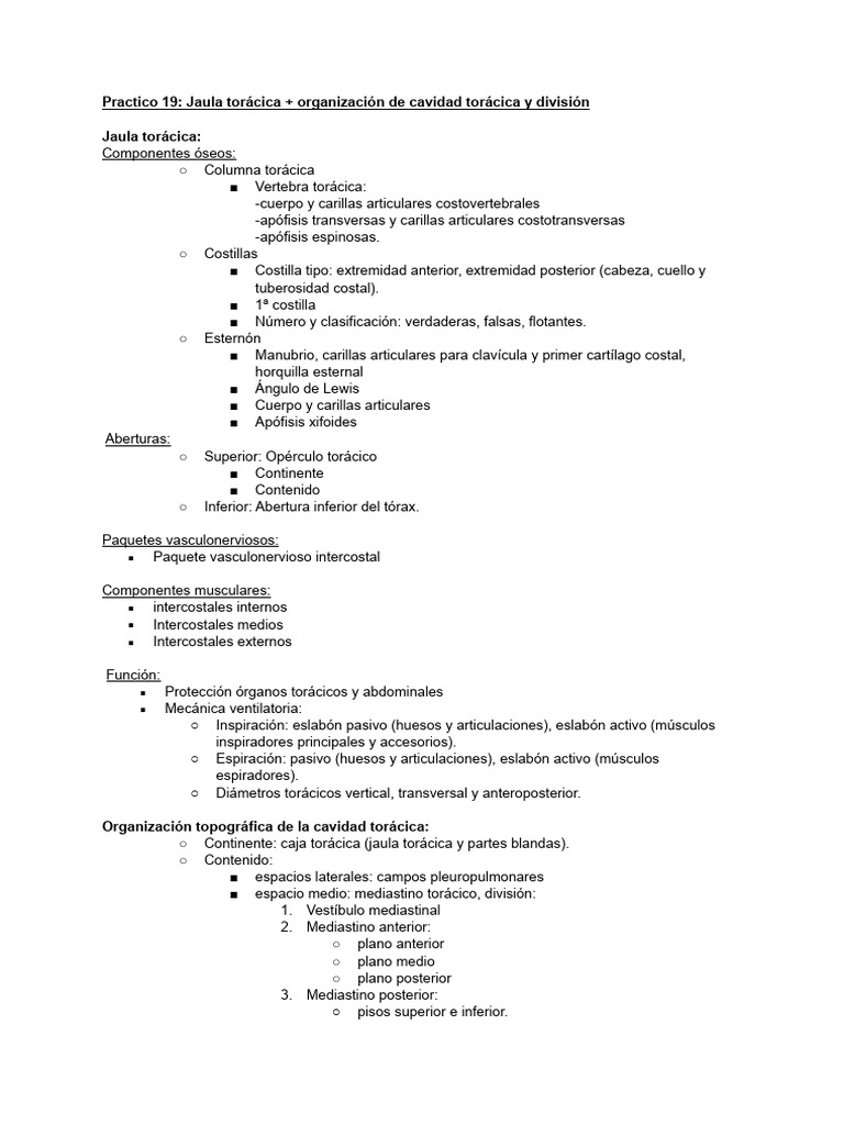 Practico 19_ Jaula torácica + organización de cavidad torácica y ...