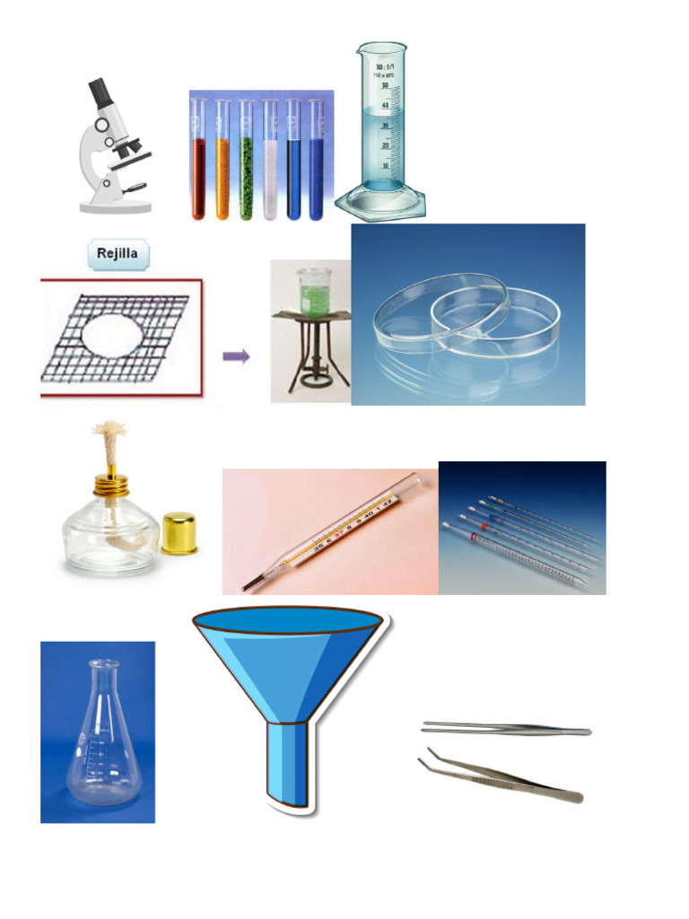 Instrumentos de Laboratorio | PDF