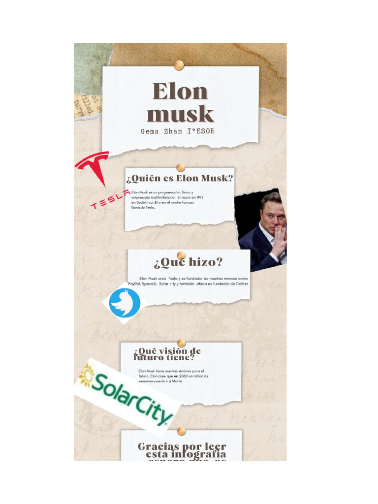Elon Musk | PDF
