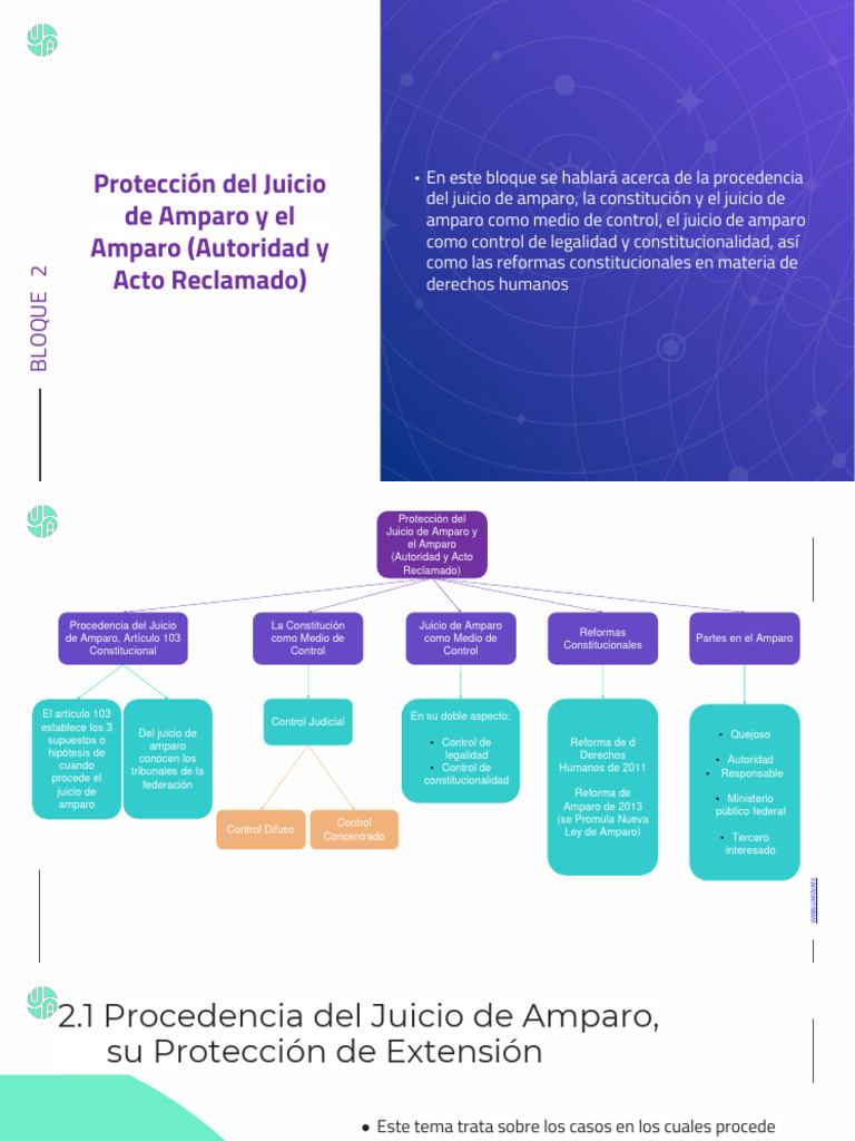 2 - Guia PROTECCION DEL JUICIO DE AMPARO | PDF | Constitución | Judicaturas