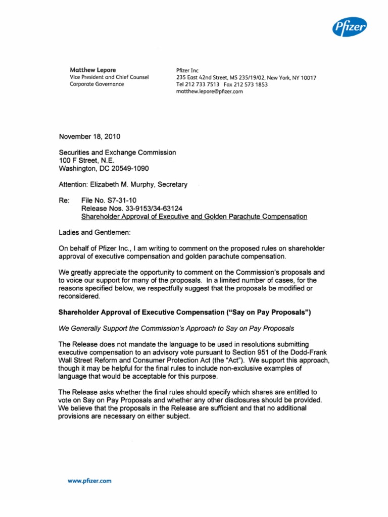 Matthew Lepore | PDF | Regulation S K | Dodd–Frank Wall Street Reform ...