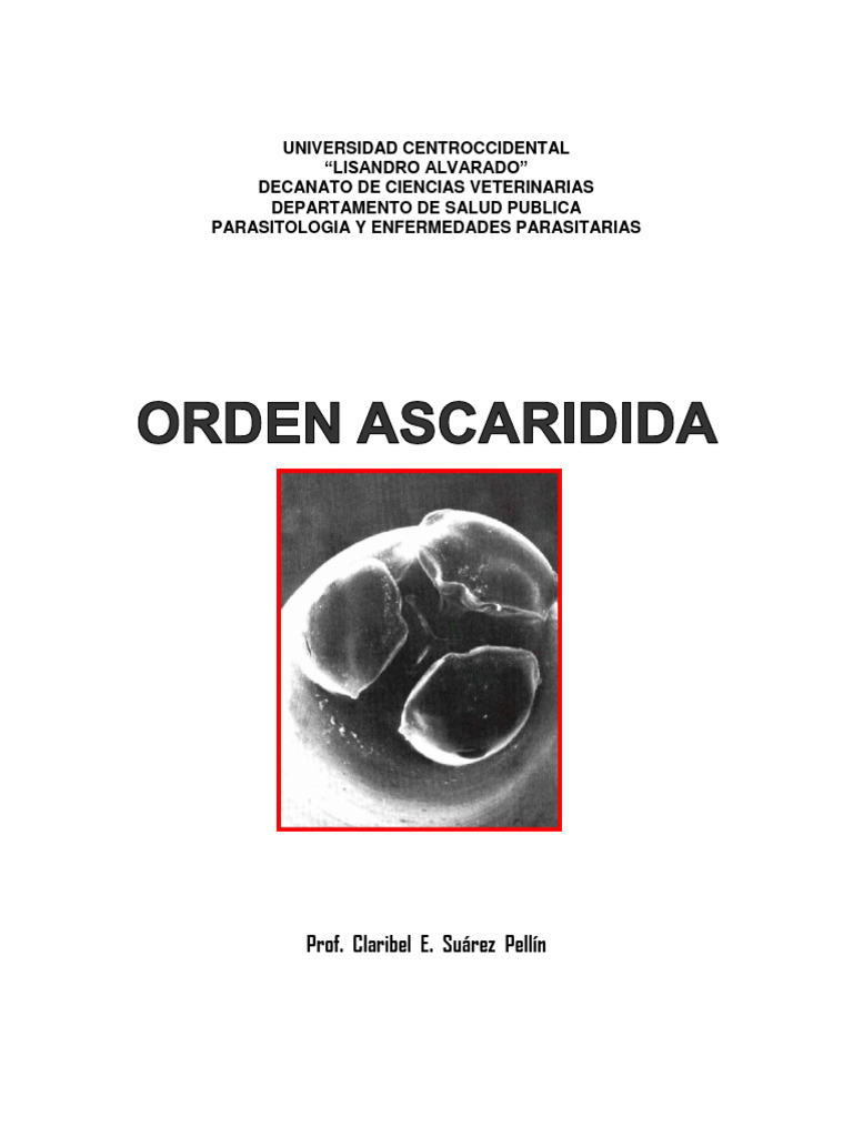 3. Orden Ascaridida. Guía (2) (1) | PDF | Diarrea