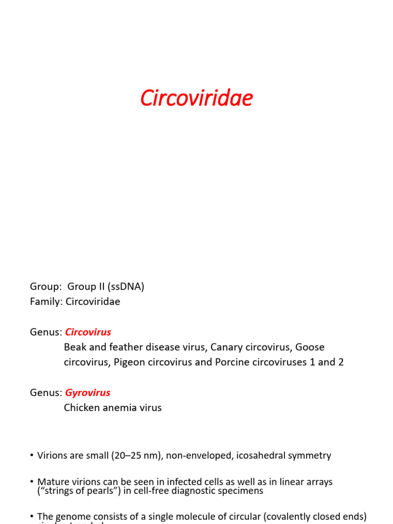 Chicken Infectious Anemia - KMC - 06062021-Compressed | PDF | Virus ...