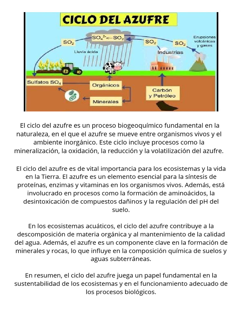 1 - Lizeidy Hernández - Ciclo Del Azufre | PDF