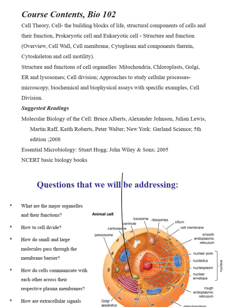 Bio 102 End Sem | PDF | Cell Membrane | Lipid Bilayer