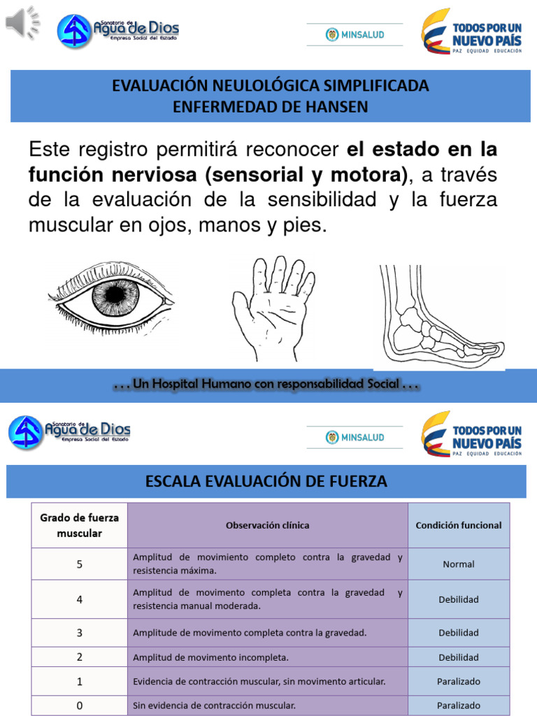 Guía Evaluación Neurológica | PDF | Neuroanatomía | Anatomía