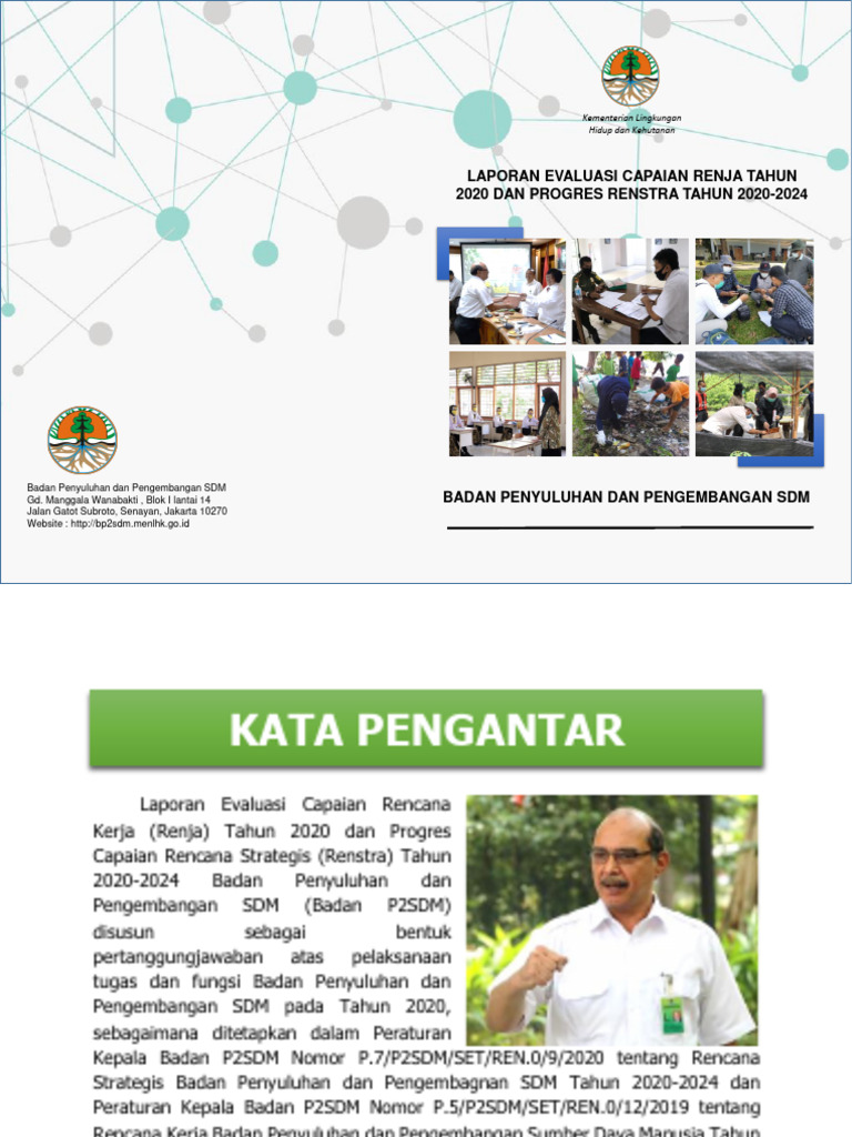 Evaluasi Capaian Renja dan Renstra 2020 | PDF