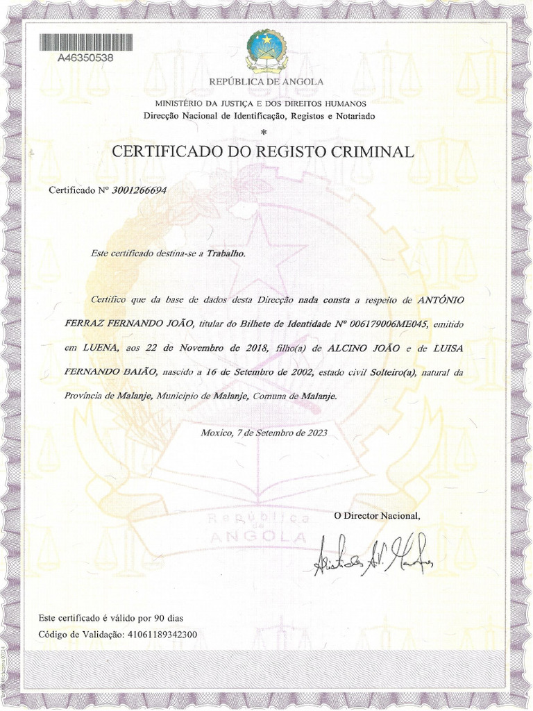 Registo Criminal 2023 | PDF