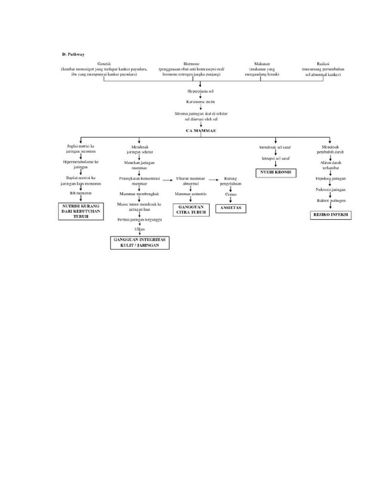pathway ca mamae | PDF