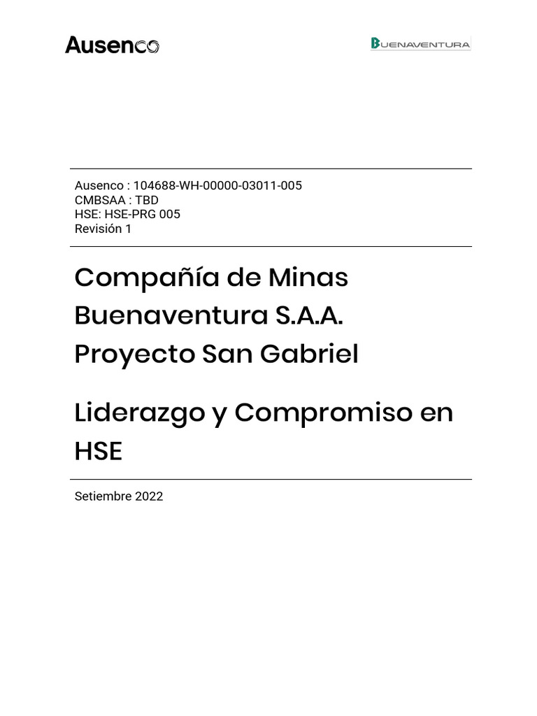 104688-WH-00000-03011-005 Liderazgo y Compromiso en HSE Rev 1 | PDF | Liderazgo | Business