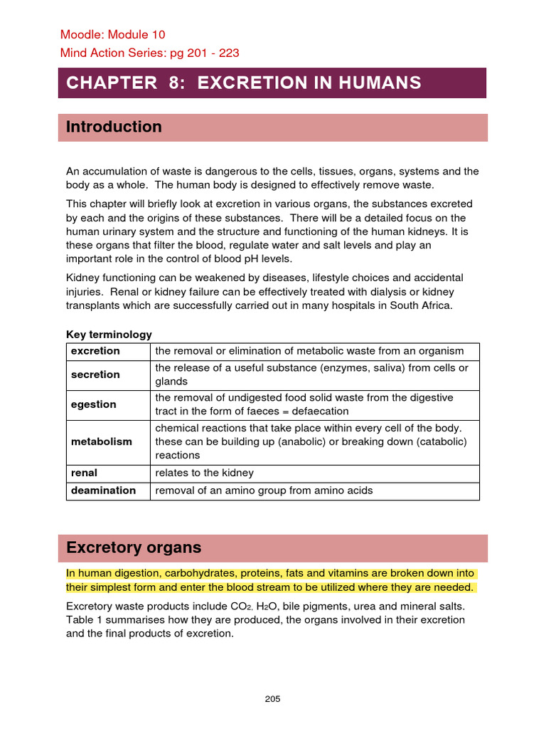 GR11 Module 10 Notes and Excercise Activities | PDF | Kidney | Urinary ...