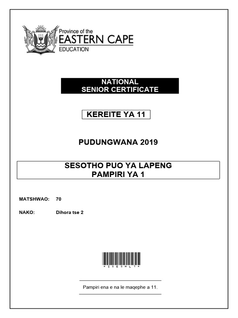 Seshl p1 Gr11 QP Nov2019 D | PDF