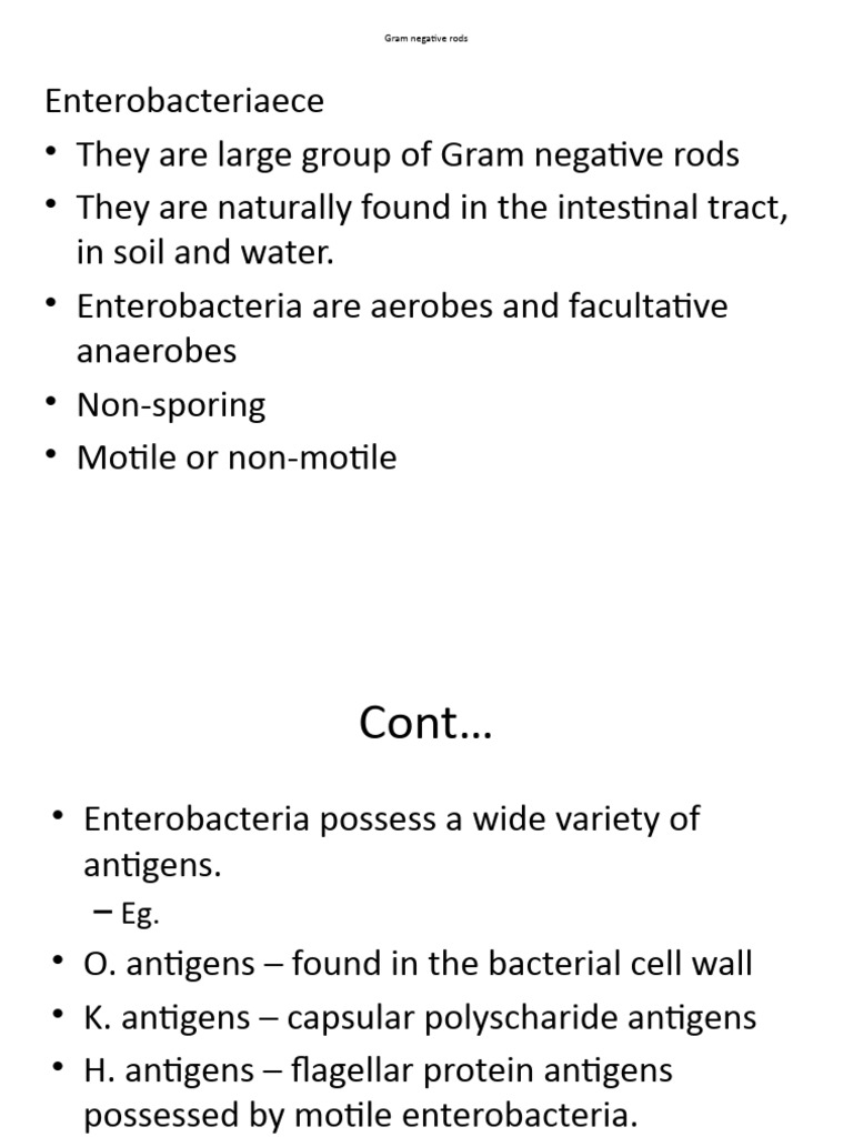 Gram-Negative Bacteria Overview | PDF | Tuberculosis | Mycobacterium
