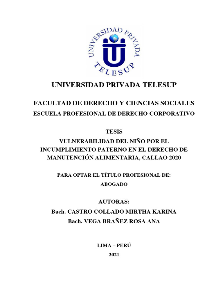 Castro Collado Mirtha Karina-Vega Brañez Rosa Ana | PDF | Familia ...