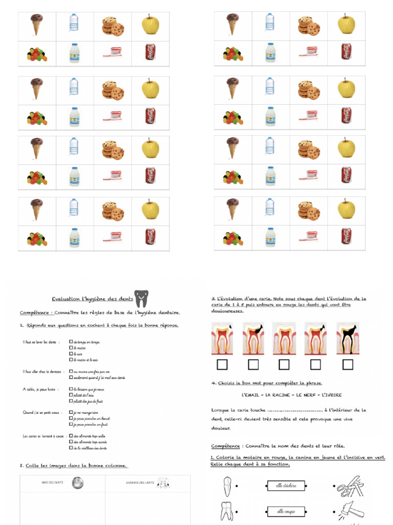 Évaluation Dents | PDF