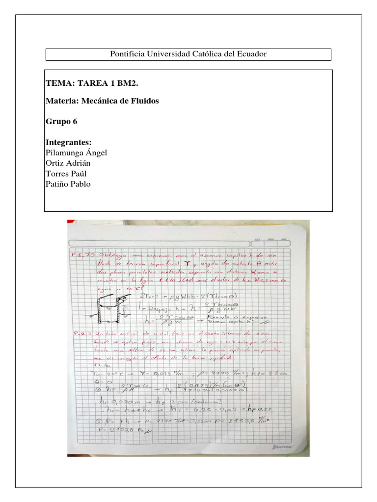Grupo 6 15 Ejercicios de Fluidos | PDF