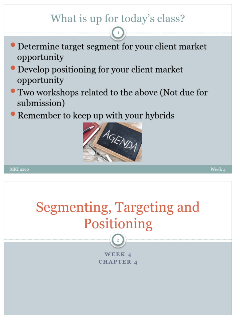 Week 4 - Segmenting, Targeting and Positioning | PDF | Market ...