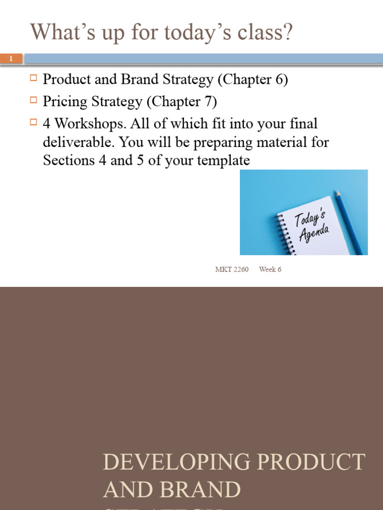Product and Brand Strategy Overview | PDF | Pricing | Brand