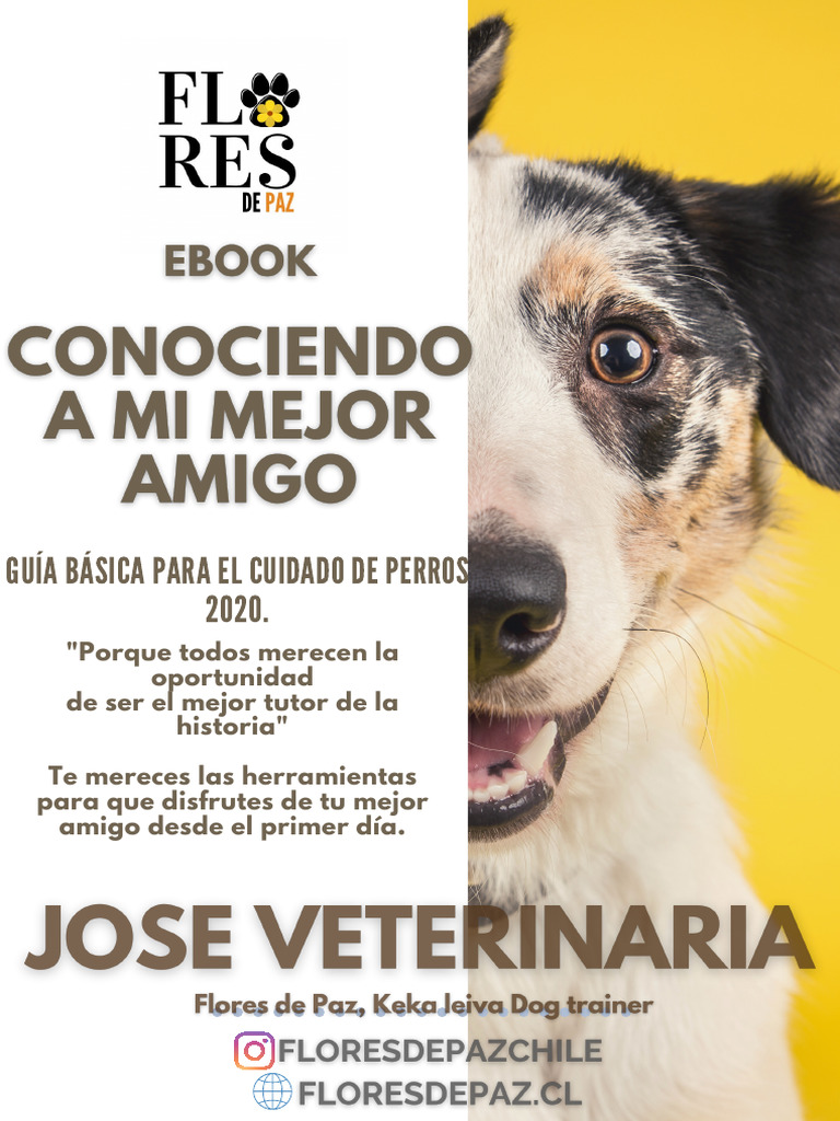 Guía para el Cuidado de Perros | PDF | Rabia | Mascota