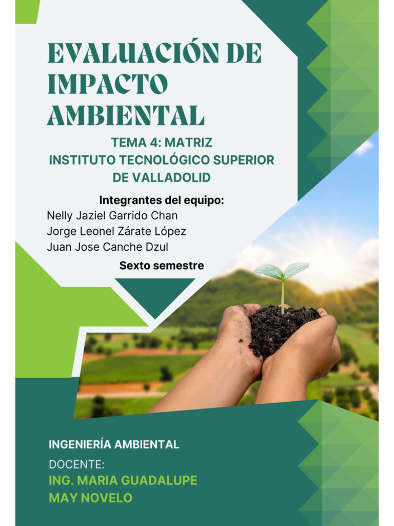 Metodología Del Estudio de Impacto Ambiental | PDF | Evaluación de impacto ambiental | Entorno ...