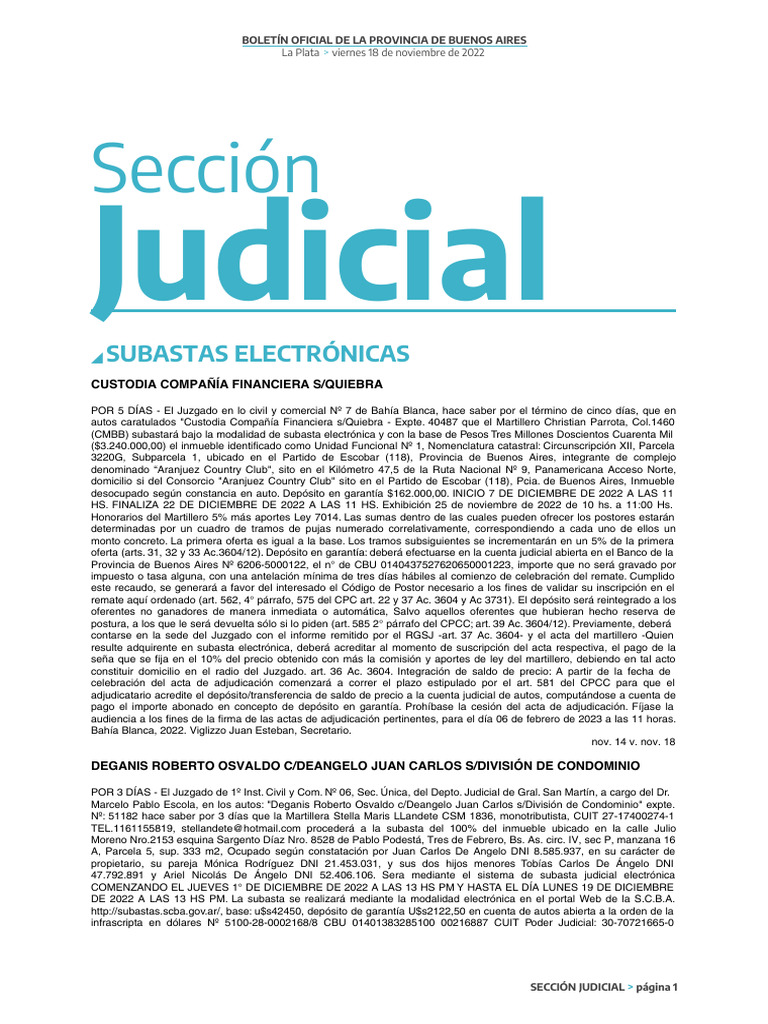 Edicto 1 | PDF | Subasta | Justicia