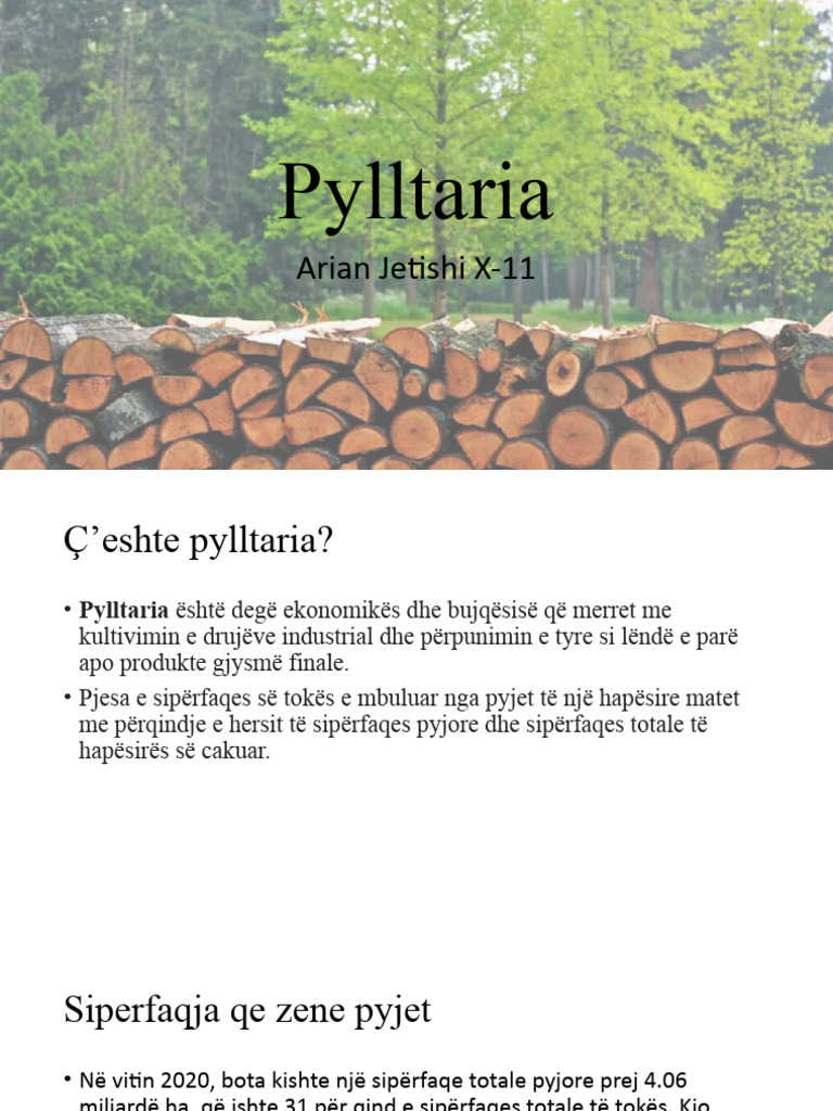Presentation 2 | PDF