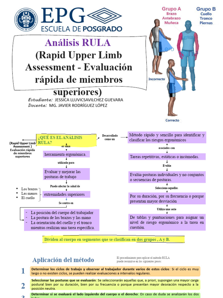 RULA | PDF | Factores humanos y ergonomía