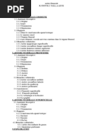 Vascularisation du membre inférieur | PDF | Main | Jambe humaine