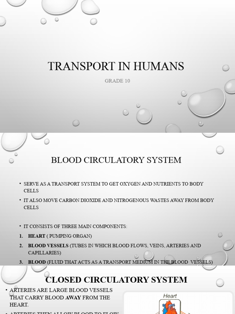 Transport in Mammals | PDF | Atrium (Heart) | Diastole
