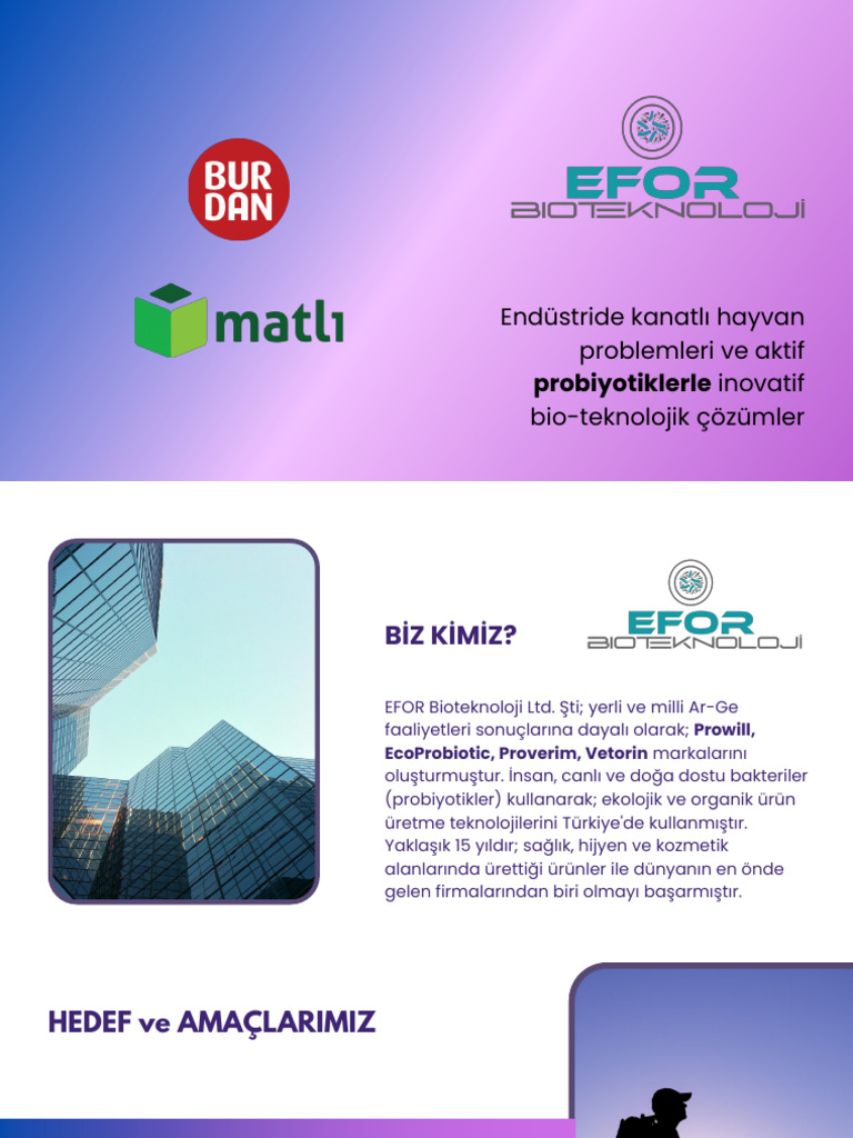 Kanatli Endüstri̇si̇ Sunum | PDF