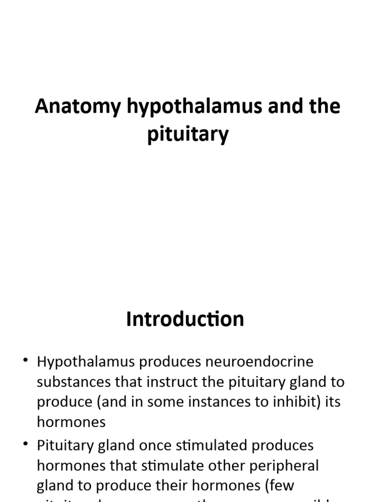 Anatomy hypothalamus and the pituitary | PDF | Hypothalamus | Pituitary Gland