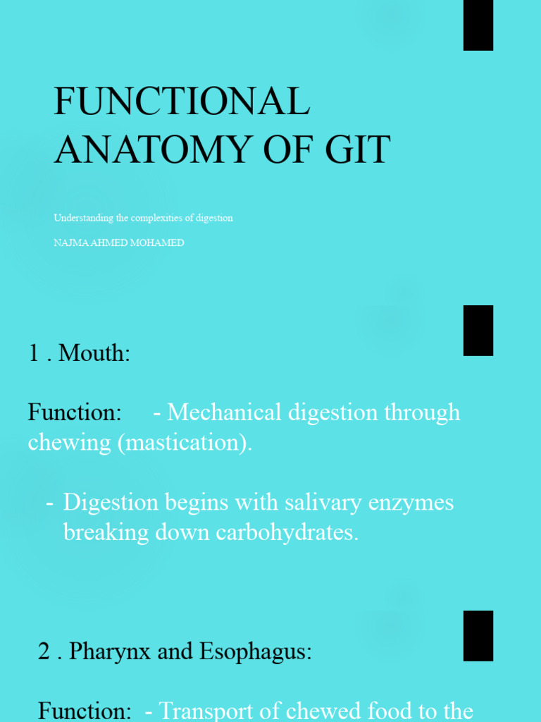 Functional Anatomy of Git.pptx 20240118 095904 0000 | PDF | Stomach ...