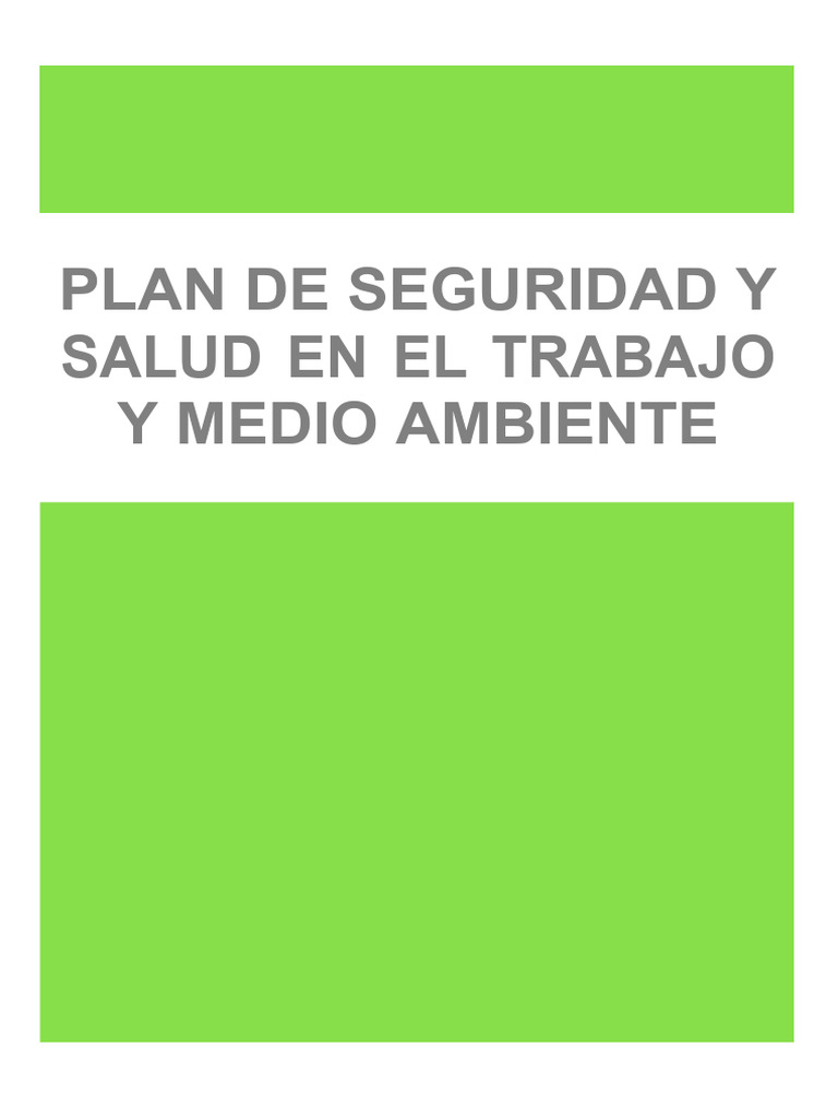 Gmn-sst-pls-001 Plan de Sst v02 | PDF | Seguridad y salud ocupacional | Business